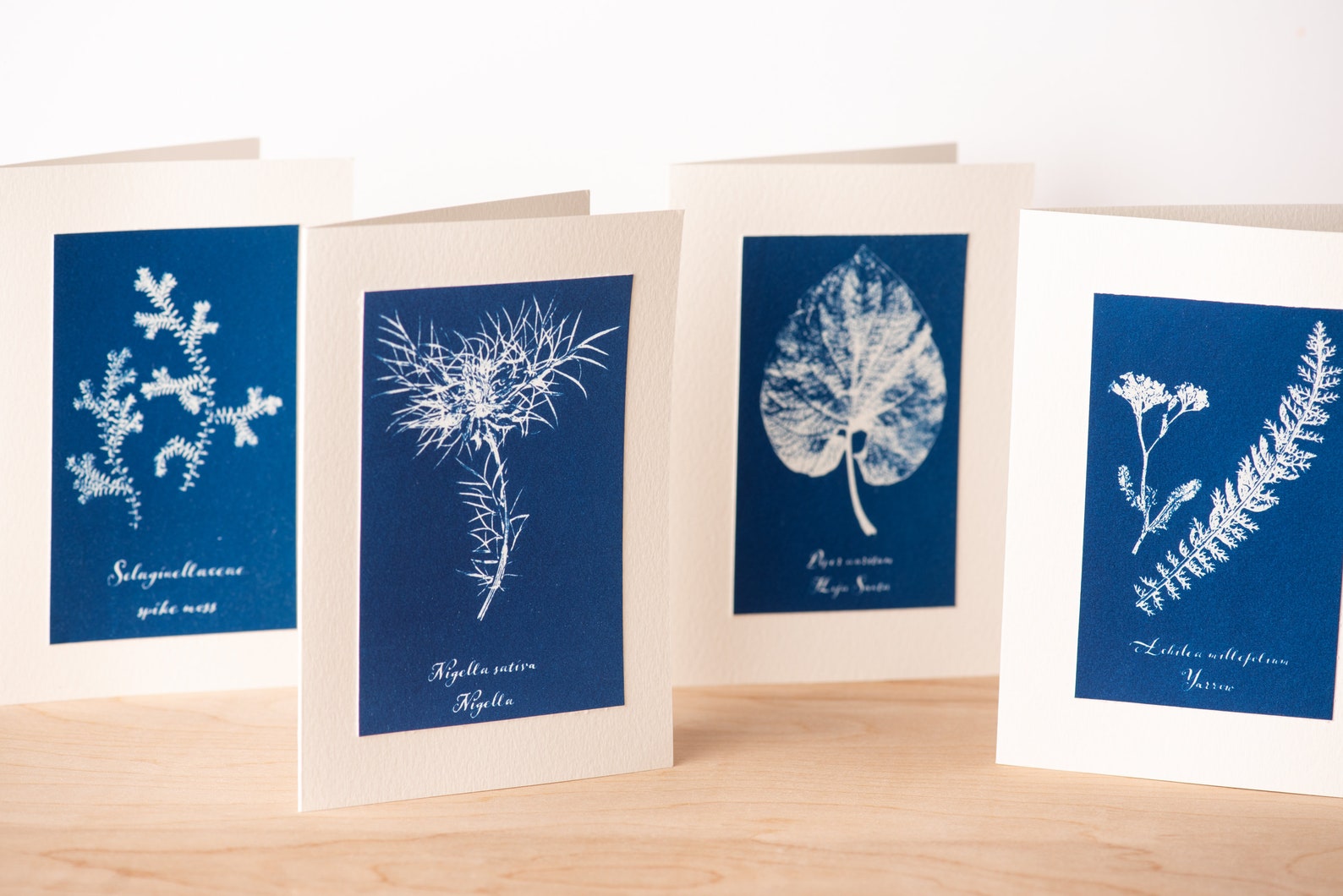 5x7 Botanical Cyanotype Cards - Etsy