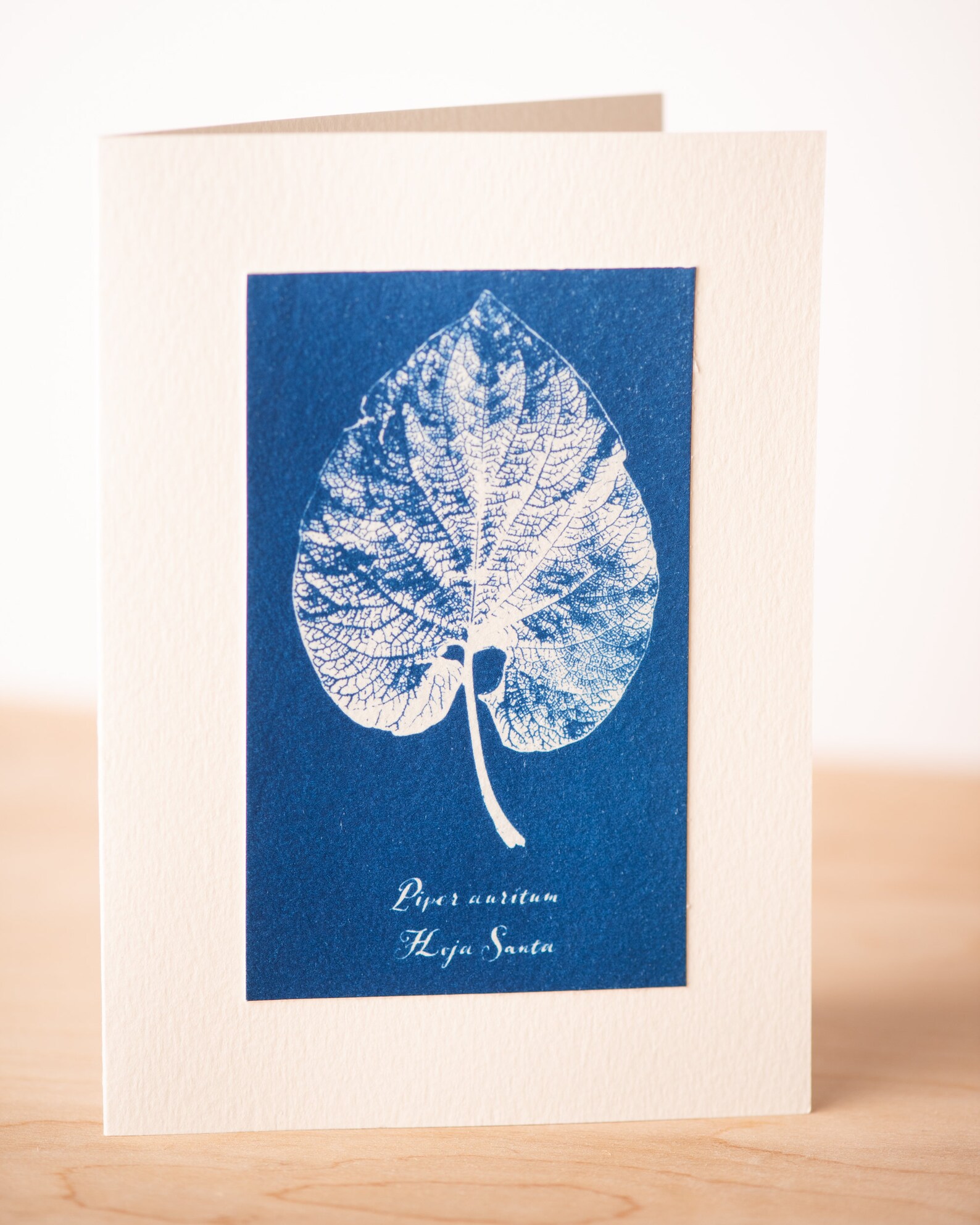5x7 Botanical Cyanotype Cards - Etsy