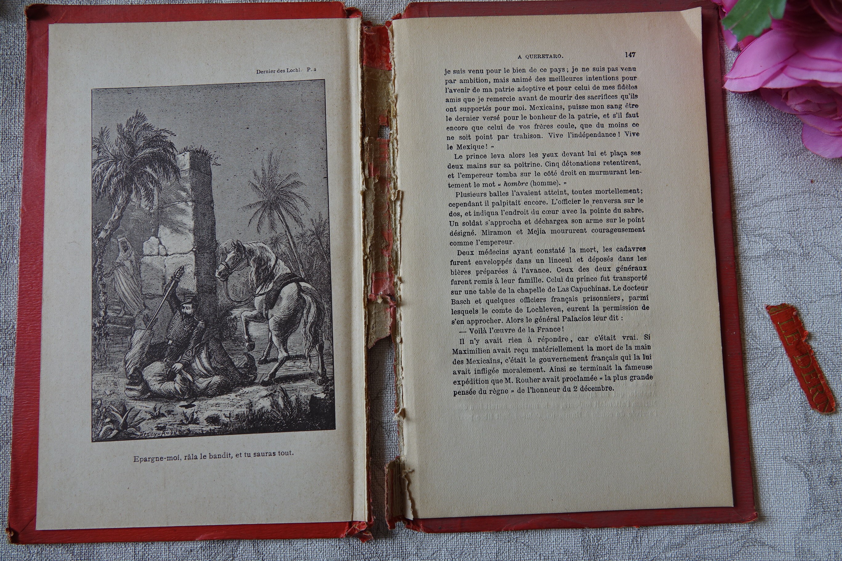 Very Vintage Red Book Cover Rooster Pattern for Making Journal - Etsy