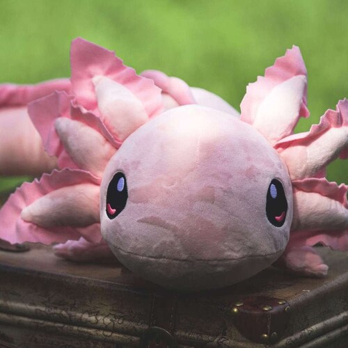 Cute Frog Plush Kawaii Frog Plushie Frog Baby Toy | Etsy