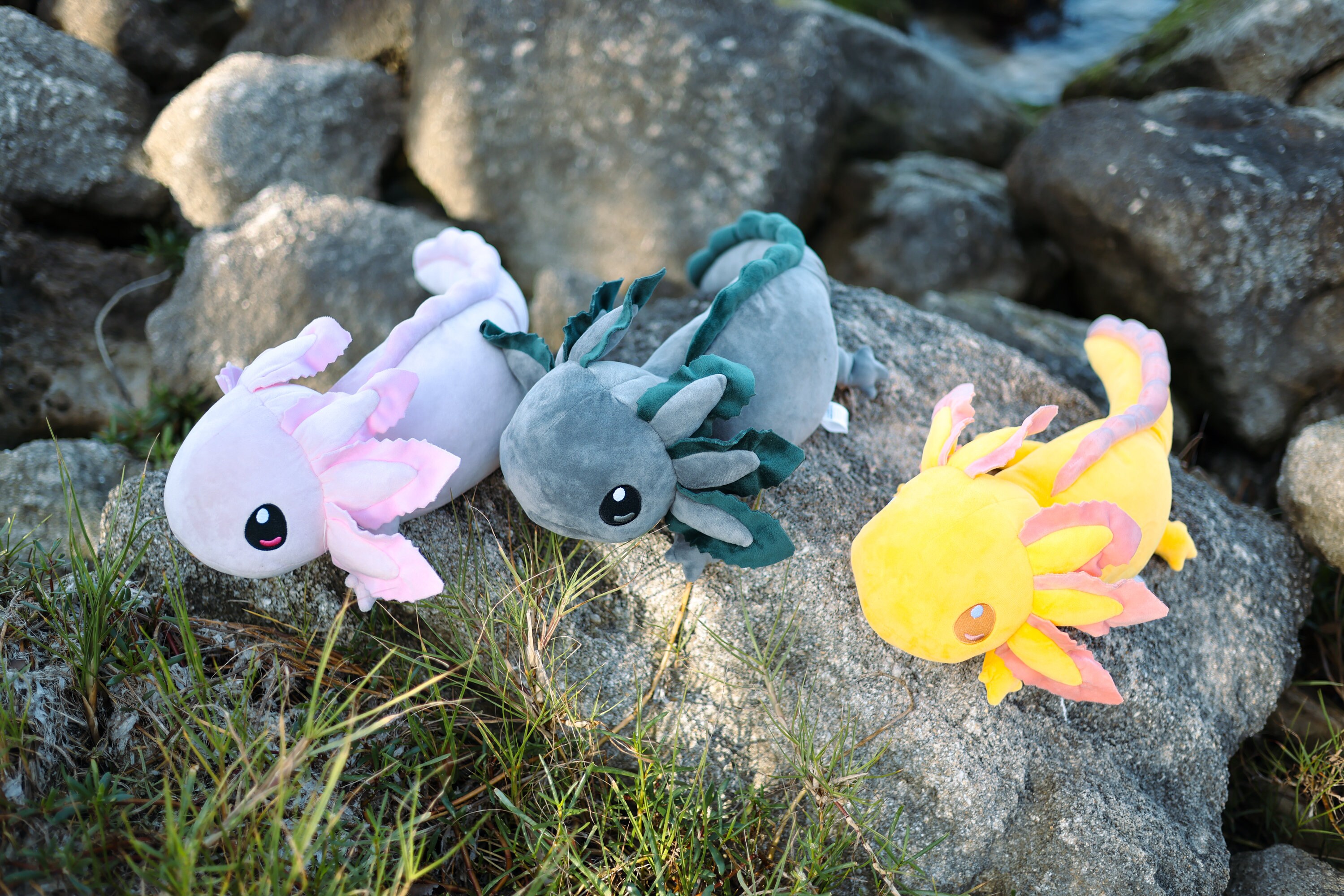 4lbs Weighted Realistic Axolotl Plush Portion of Sale - Etsy UK