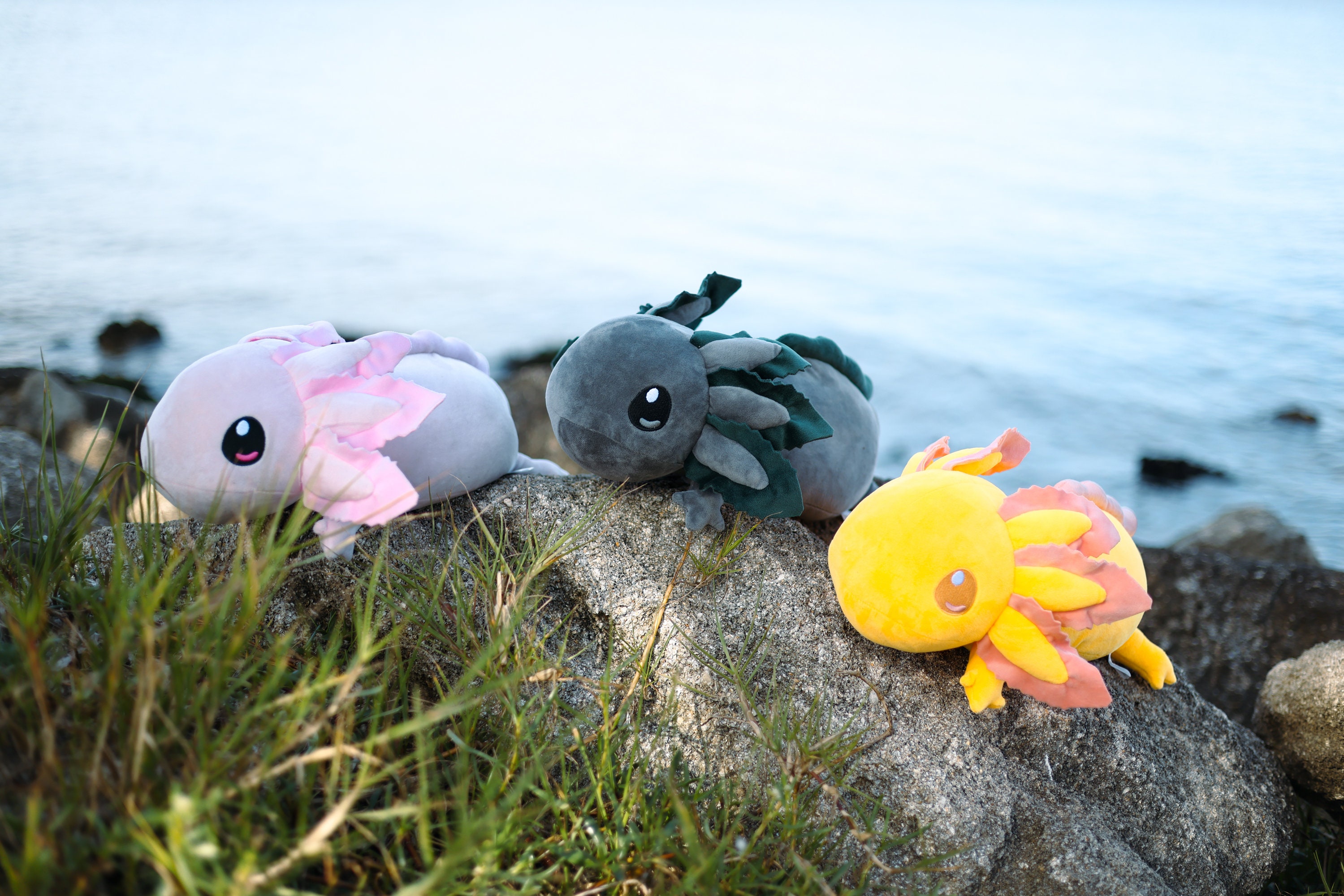 4lbs Weighted Realistic Axolotl Plush Portion of Sale - Etsy UK