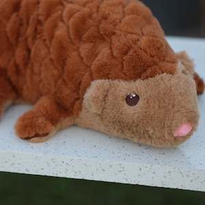 Pangolin Plush - 4lbs Weighted - Etsy