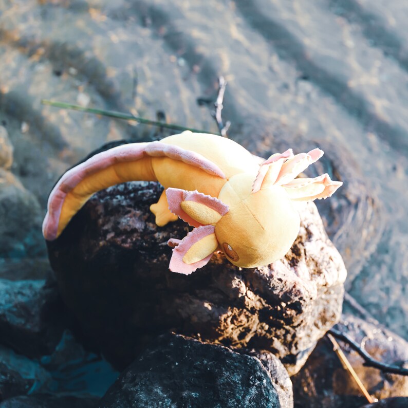 Mini Realistic Axolotl Plush Portion of Sale Donated - Etsy