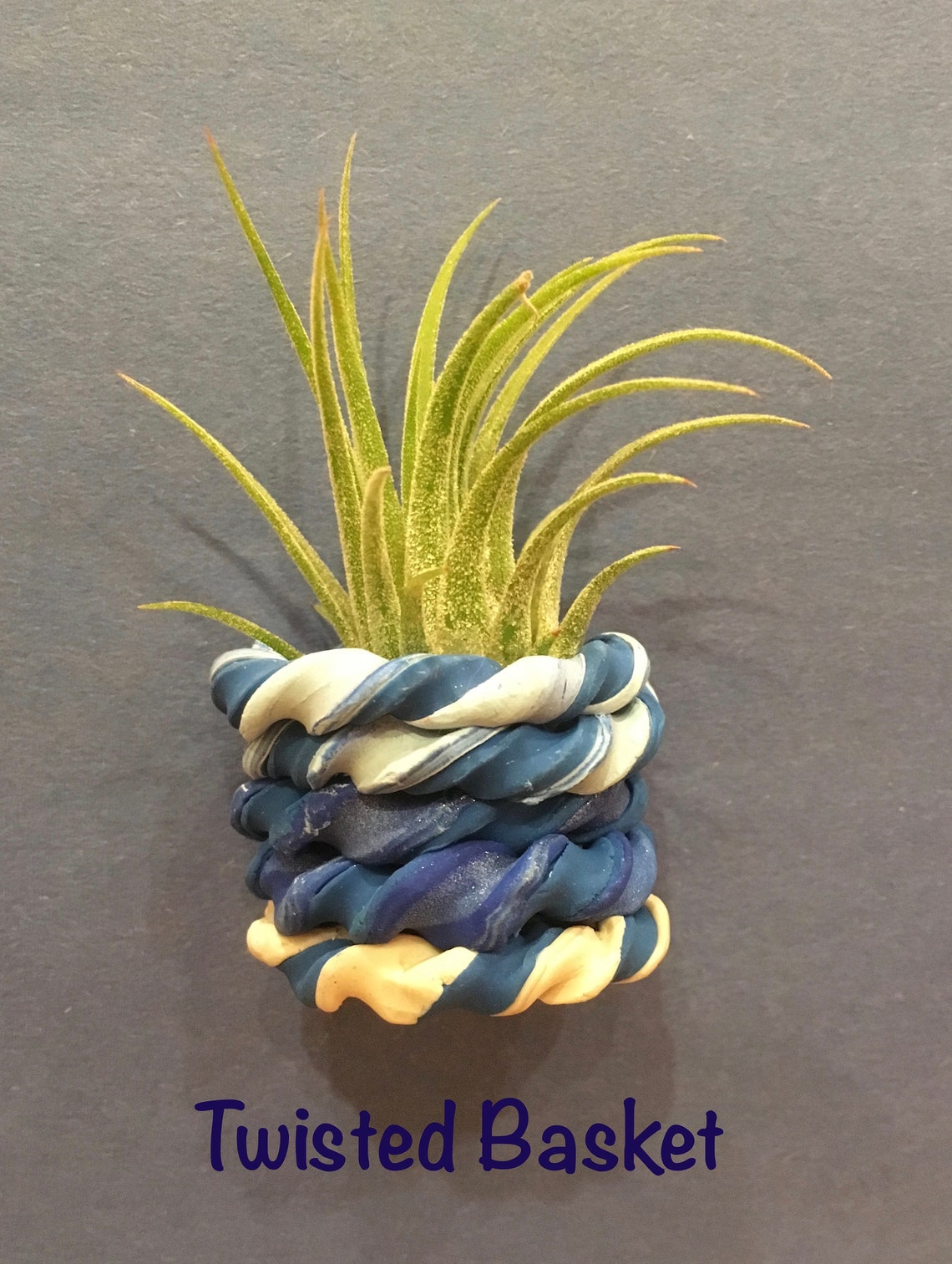 Magnetic Air Plant Holder - Etsy