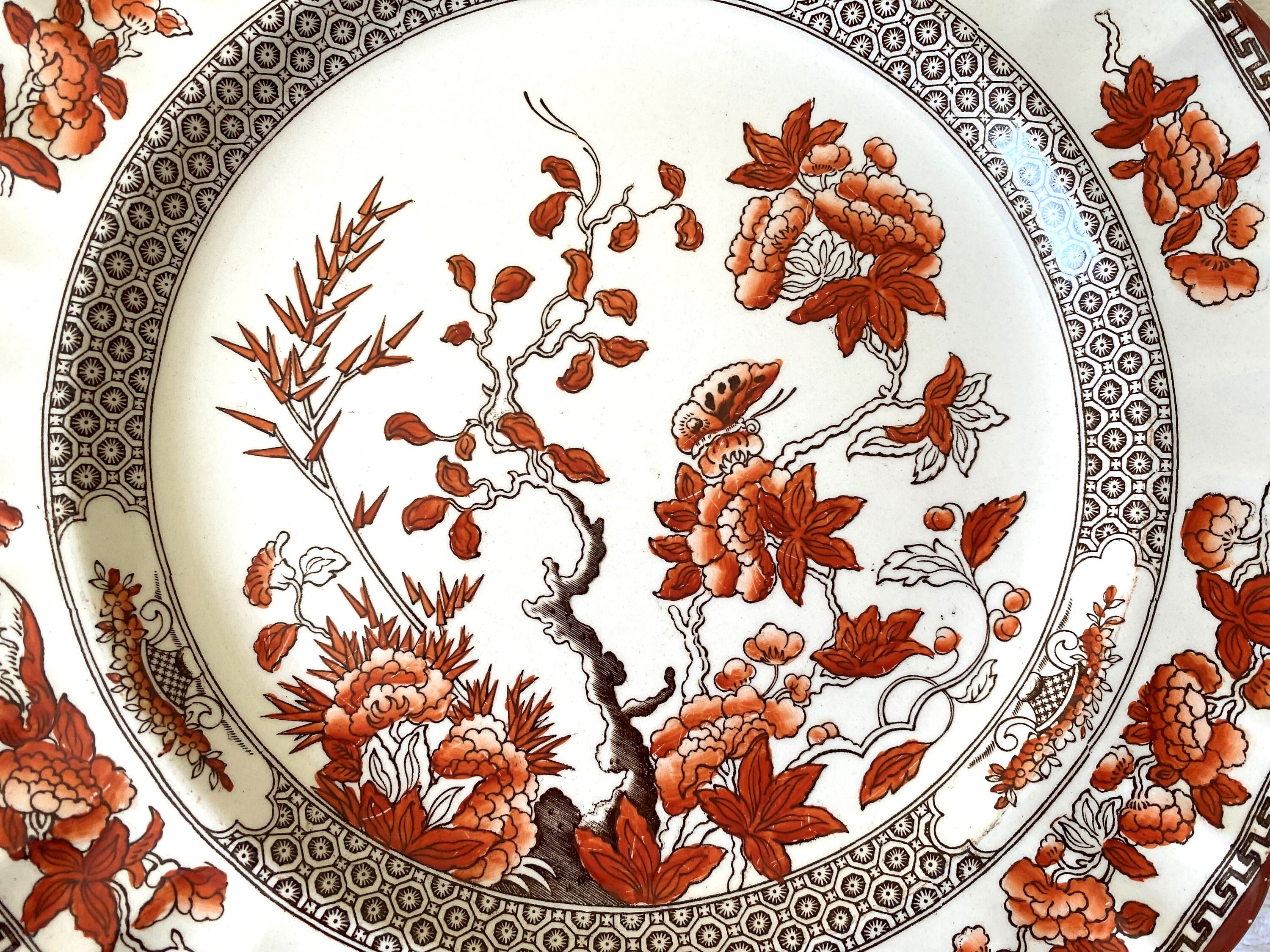 India Tree Dinner Plate Copeland Spode England Brown With Rust - Etsy