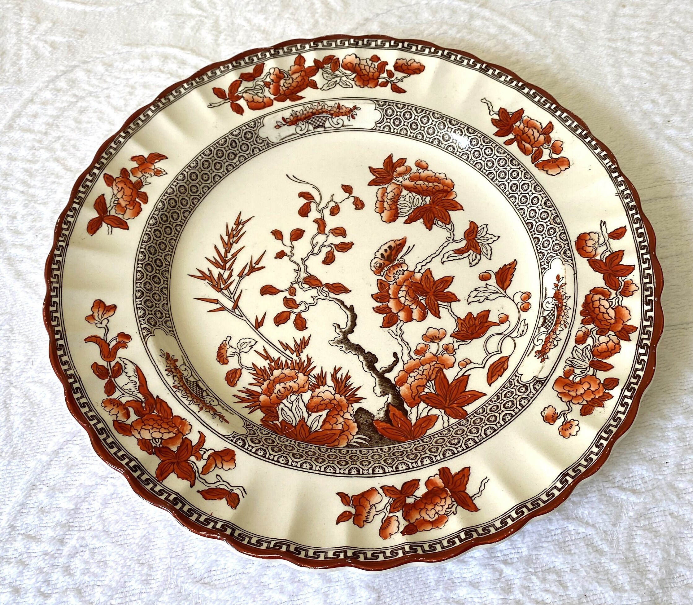 India Tree Dinner Plate Copeland Spode England Brown With Rust Orange ...