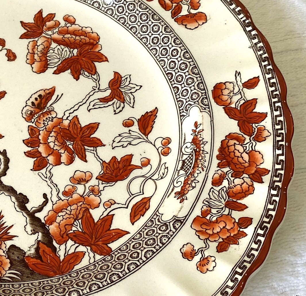 India Tree Dinner Plate Copeland Spode England Brown With Rust Orange ...