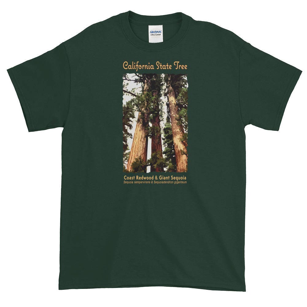 Beautiful, Scenic Redwood Tree, California State Tree Souvenir T-shirt ...