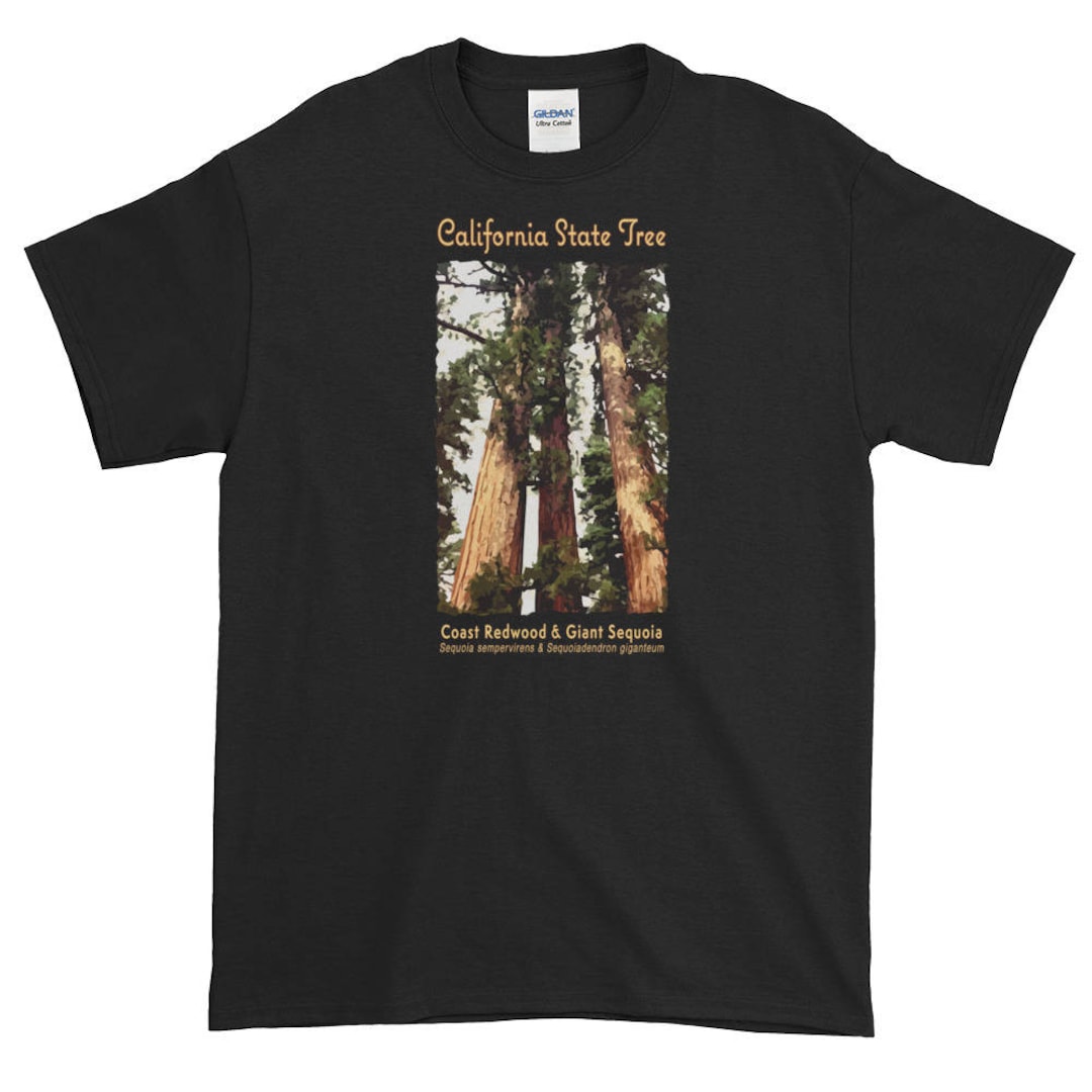Beautiful, Scenic Redwood Tree, California State Tree Souvenir T-shirt ...