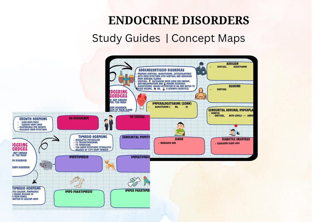 Endocrine Disorders | Nursing Study Guide | Concept Map | NCLEX ...