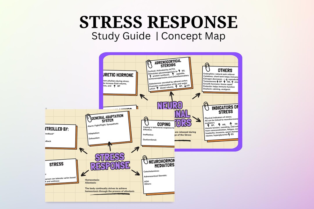 Stress Response| Nursing Study Guide | Concept Map | NCLEX ...
