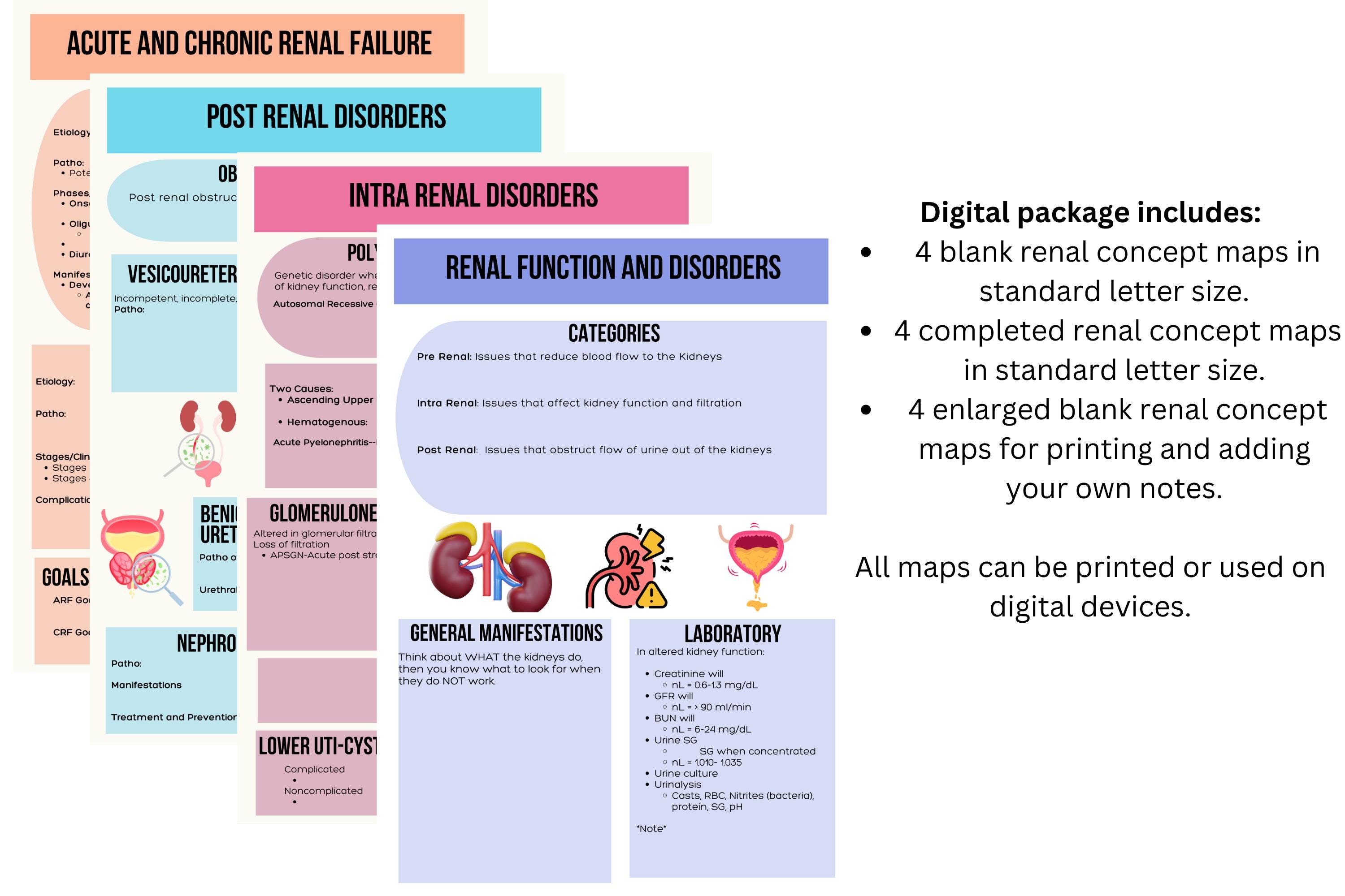 Renal Function and Disorders | Nursing Study Guides | Concept Maps ...