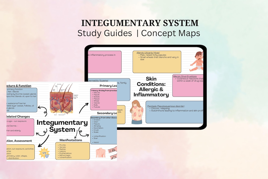 Integumentary System | Concept Map | Nursing Study Guide | NCLEX | RN ...