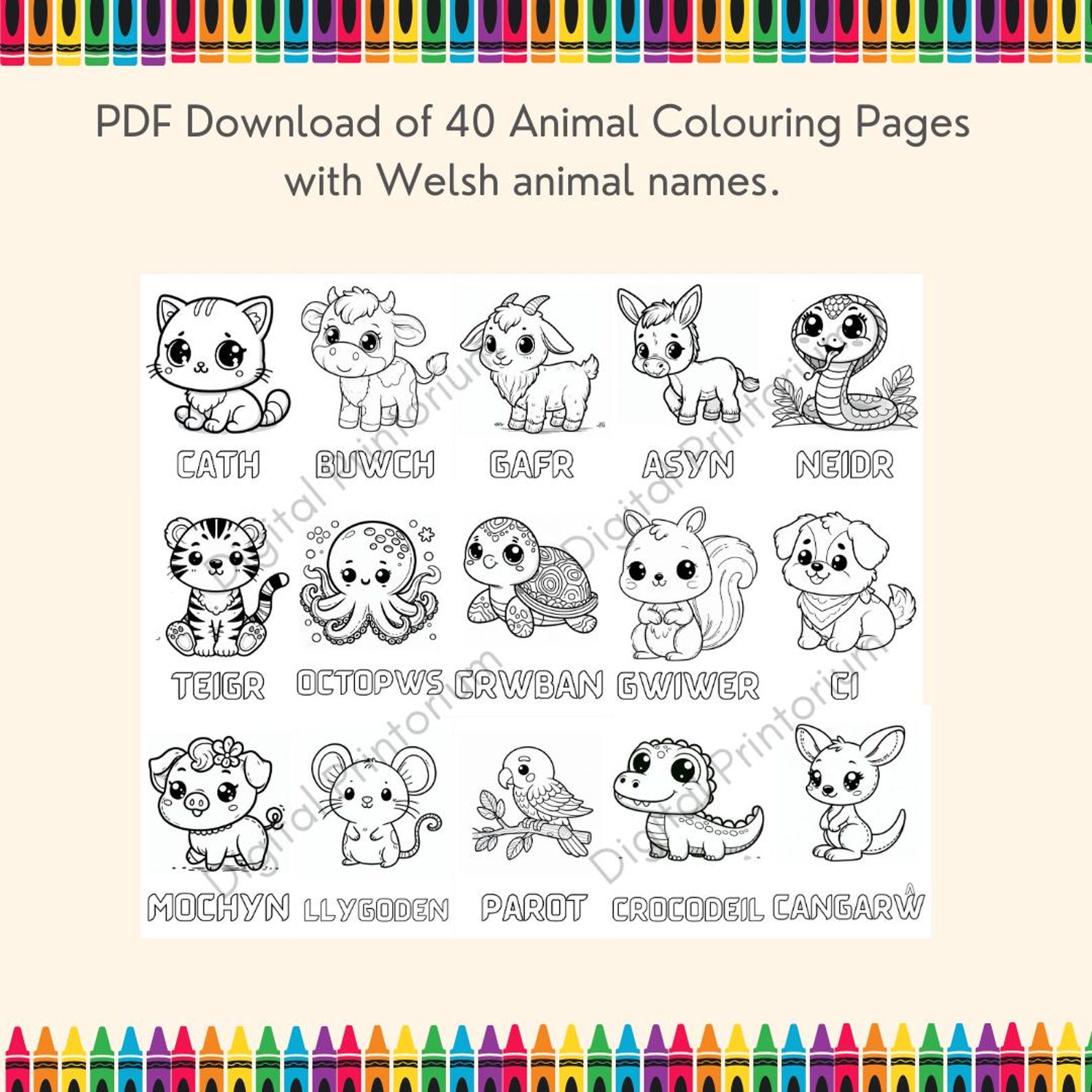 Printable 40 Welsh Animal Colouring Pages - Tudalennau Lliwio ...