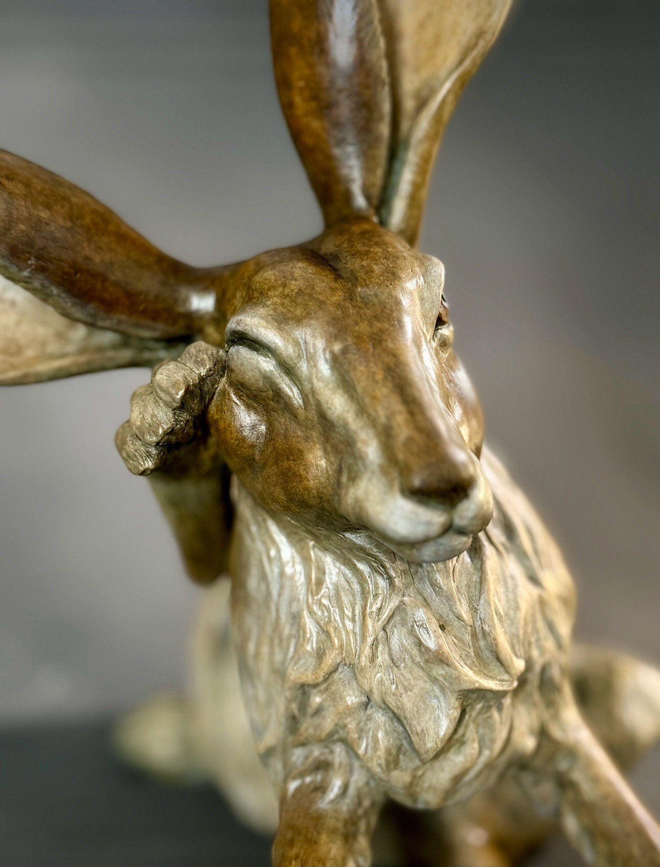 Jackrabbit Bronze Sculpture - Etsy