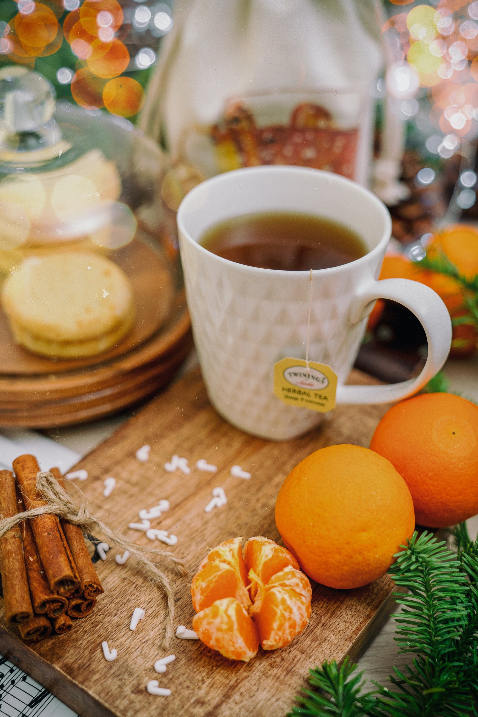 Seasonal Tea Bag Sampler – Christmas Assortment Gift Set - 40 Count, 5 ...