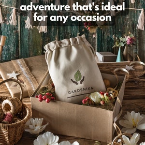 Seasonal Tea Bags Sampler Set – Holiday Assortment Gift - 40 Count, 5 ...