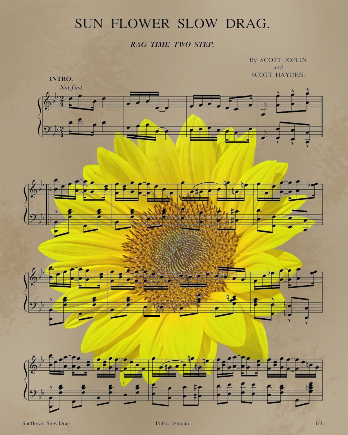 Sunflower Art Download, Printable Sheet Music, Sunflower Slow Drag ...