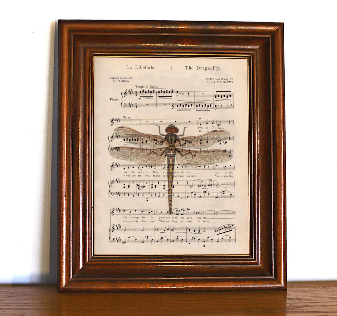 Dragonfly Sheet Music Download, Printable Dragonfly Art, Music Wall Art ...