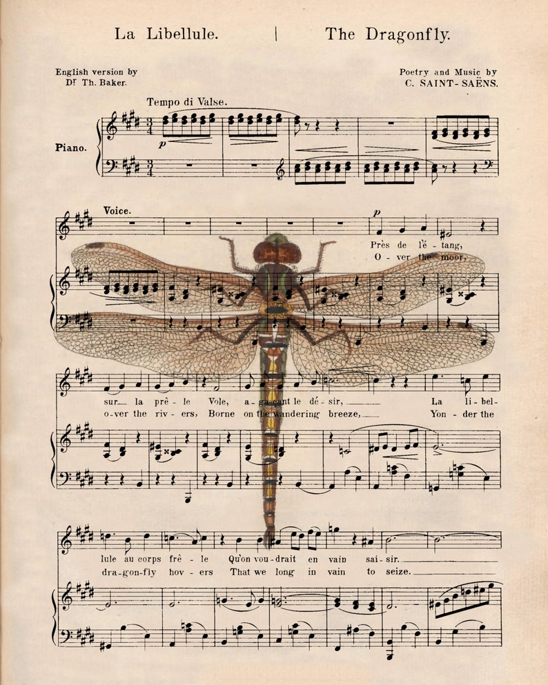 Dragonfly Sheet Music Download, Printable Dragonfly Art, Music Wall Art ...