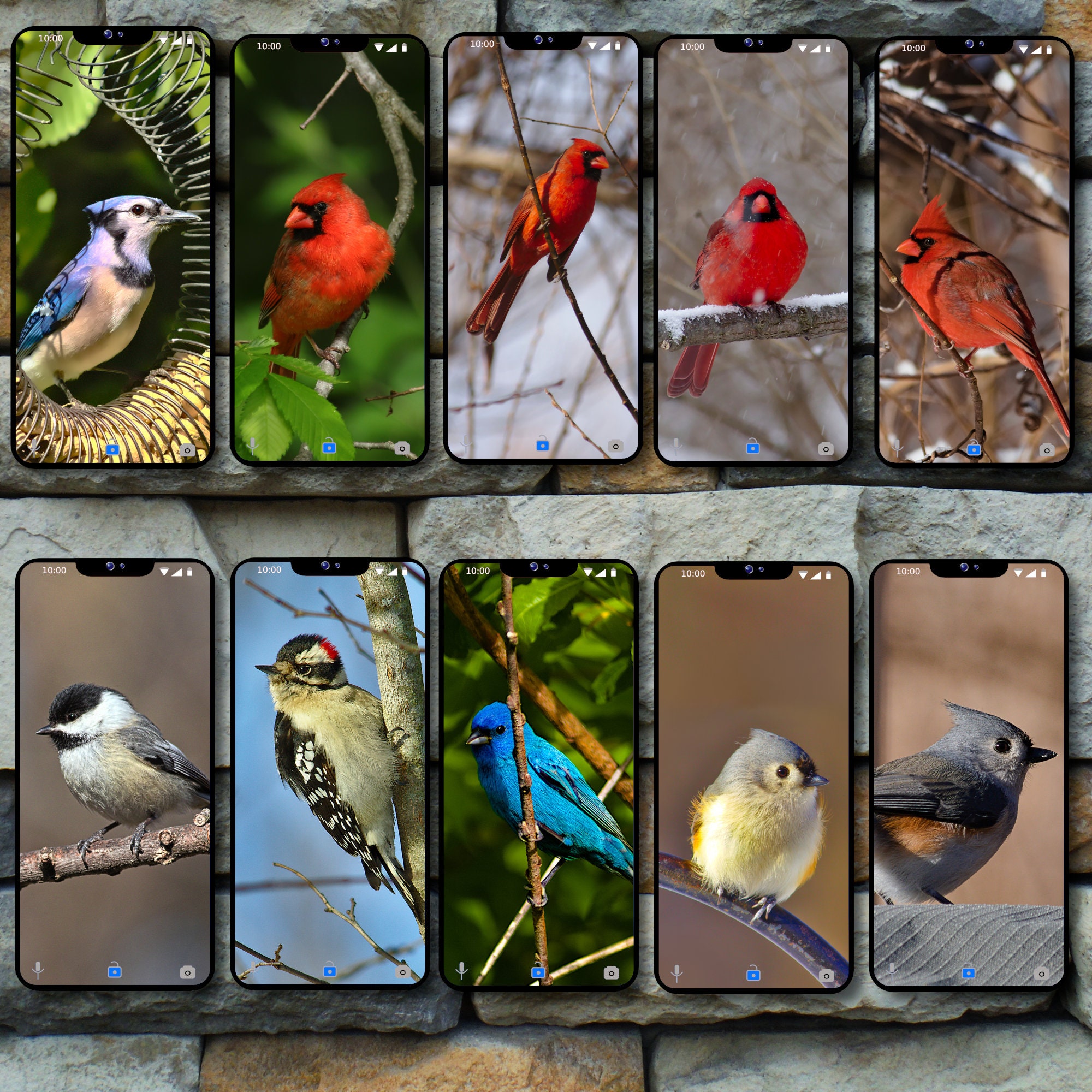 Cell Phone Wallpaper Bundle, Bird Wallpapers, Android Wallpapers ...