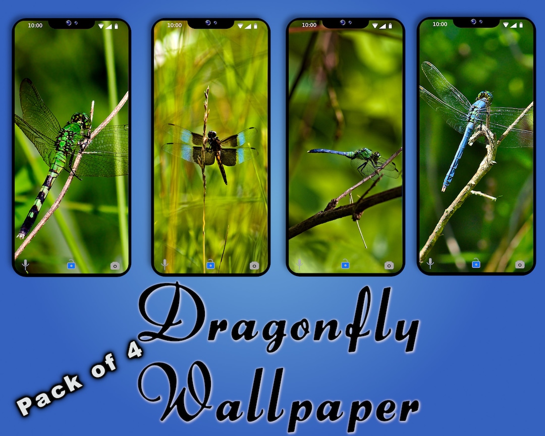 Dragonfly Wallpaper, Cell Phone Wallpaper, Dragonflies, Dragonfly ...