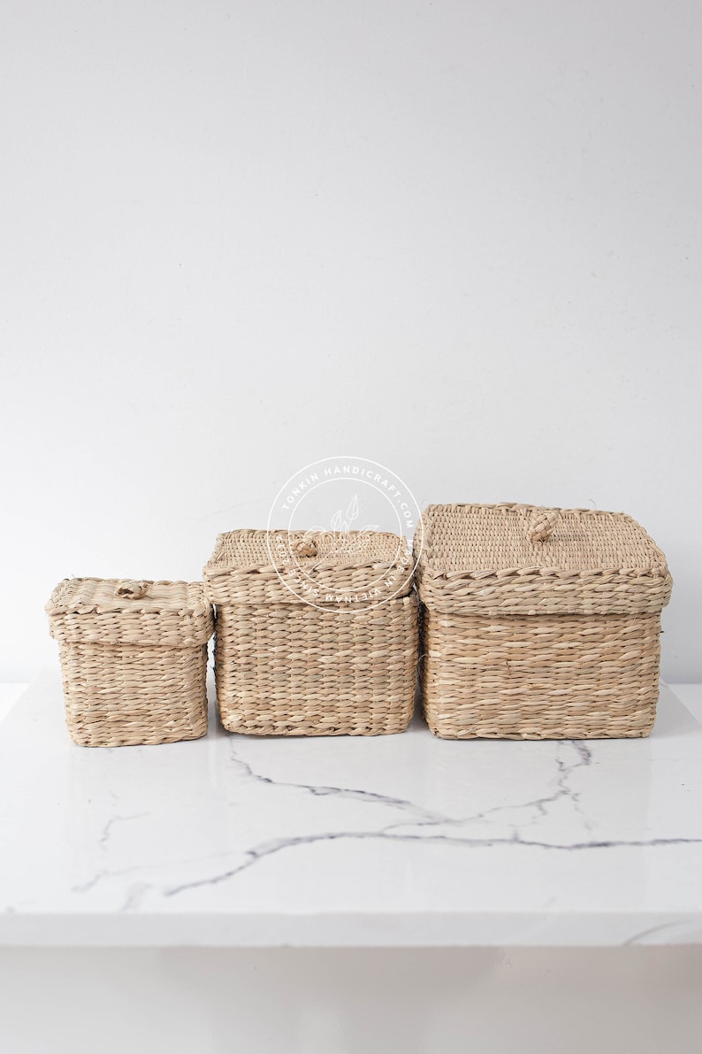 Set of 3 Braided Handwoven Natural Oval/square Holder Basket With Lid ...