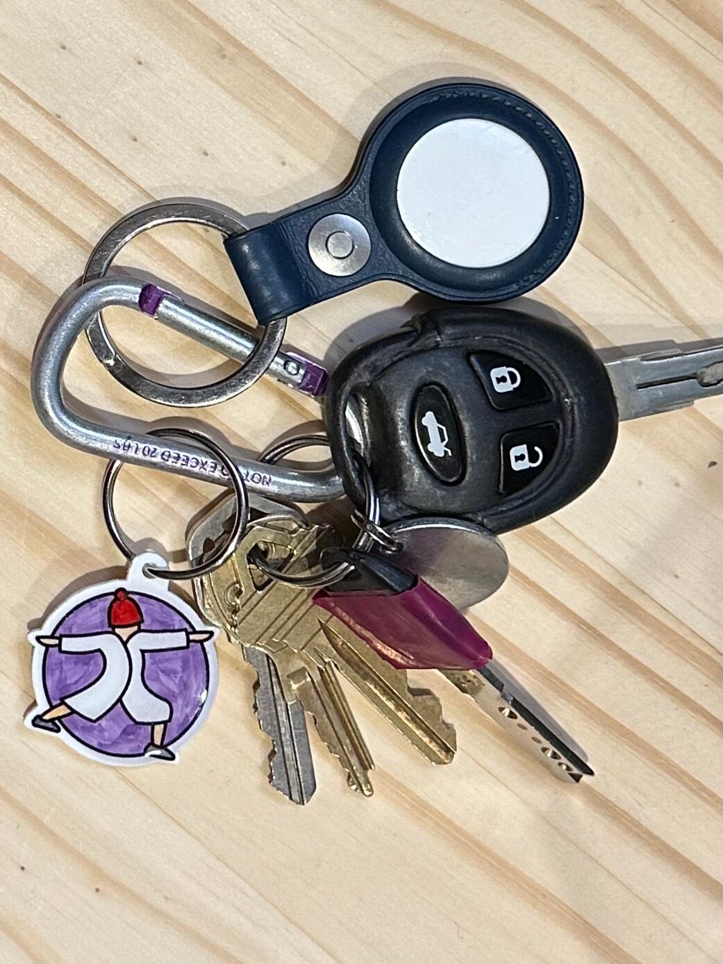 Vulfpeck Key Chain Vulf Schvitz, Sauna Icon Purple, Teal, Green ...