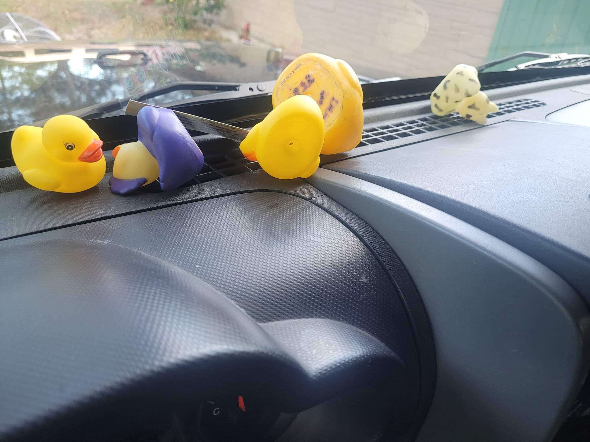 Duck Stand Rubber Duck Mount Duck Duck Mount Rubber Duck Dash Mount ...