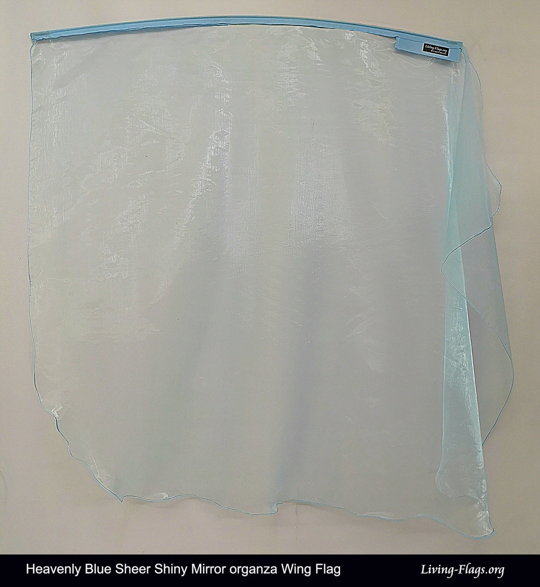 Sheer Shiny Mirror Organza Wing Flag (set of 1) - Buy 1 Fet 1 Free - Etsy