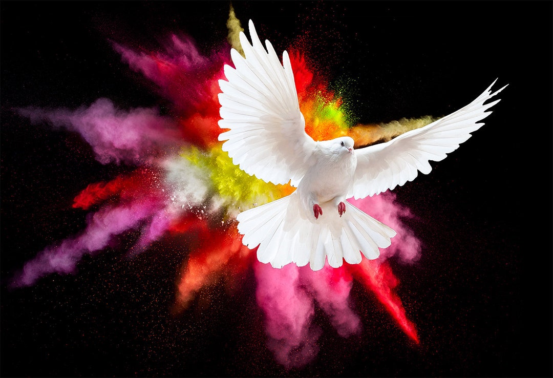 Miracle, Signs & Wonder – Explosion Worship Flags - Etsy