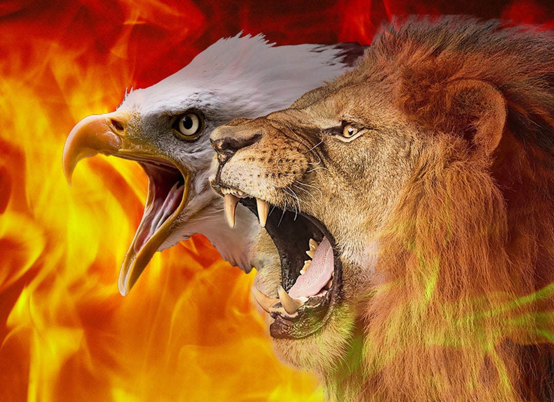 Lion Vs Eagle