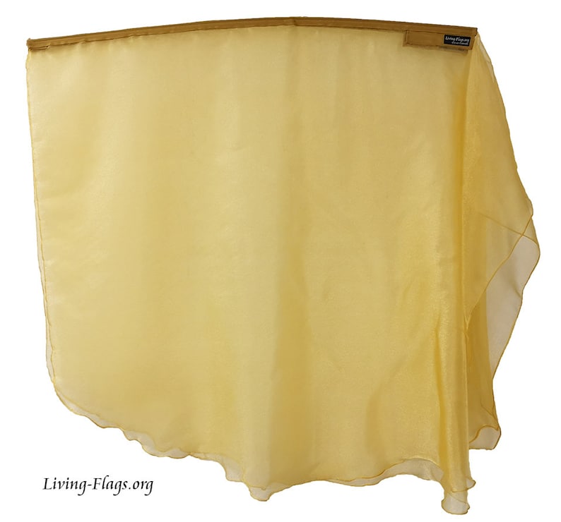 Sheer Shiny MIRROR Organza Wing Flag Set of 2 | Etsy