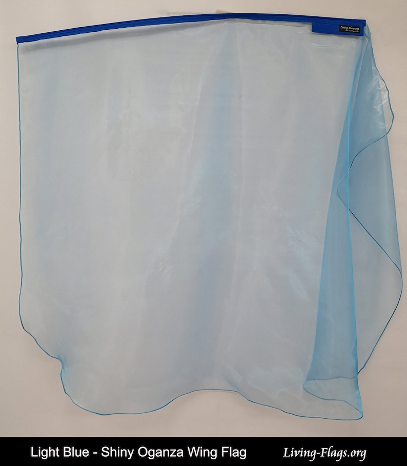 Sheer Shiny MIRROR Organza Wing Flag Set of 2 | Etsy