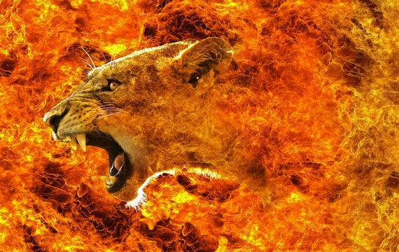 Fire Lioness