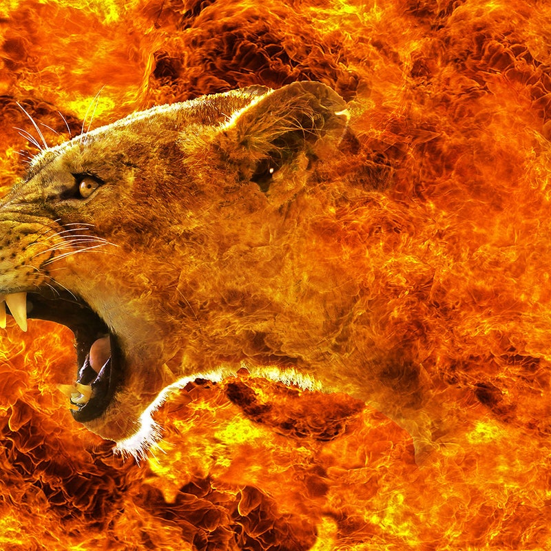 Lioness Flag - Etsy UK