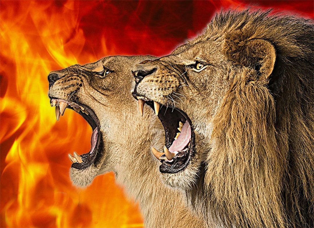 Stand & Roar - Lion-lioness Ii - Printed Harbotai Silk Flag - Etsy