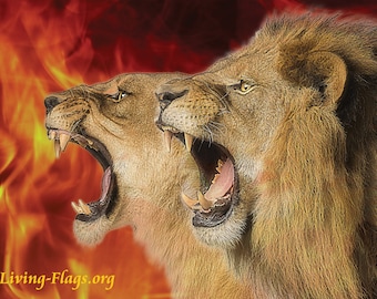 Stand & Roar Lion-Lioness II Printed harbotai Silk Flag | Etsy