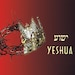 Resurrection Yeshua - Hebrew - Printed Harbotai Silk Flag - Etsy