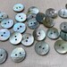 24x Natural Shell Buttons 12mm Bulk Buttons Craft Supply - Etsy