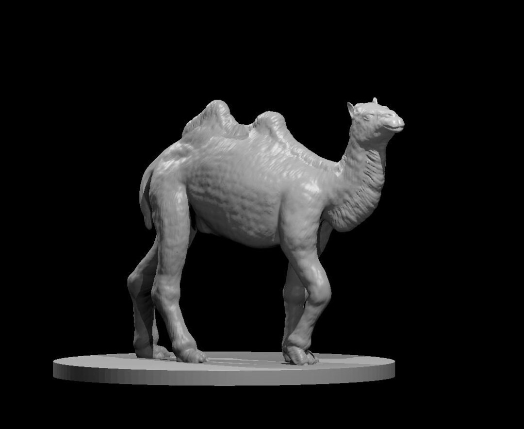 Camel Mini - DND - Pathfinder - Dungeons & Dragons - RPG - Tabletop ...