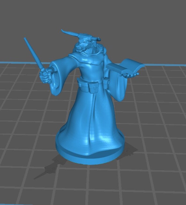 Other Races Wizard Mini DND Pathfinder Dungeons & - Etsy