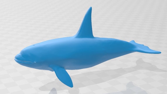 Killer Whale Mini DND Pathfinder Dungeons & Dragons - Etsy Ireland