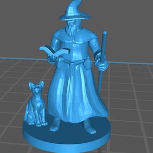 Human Wizard Mini - DND - Pathfinder - Dungeons & Dragons - RPG ...