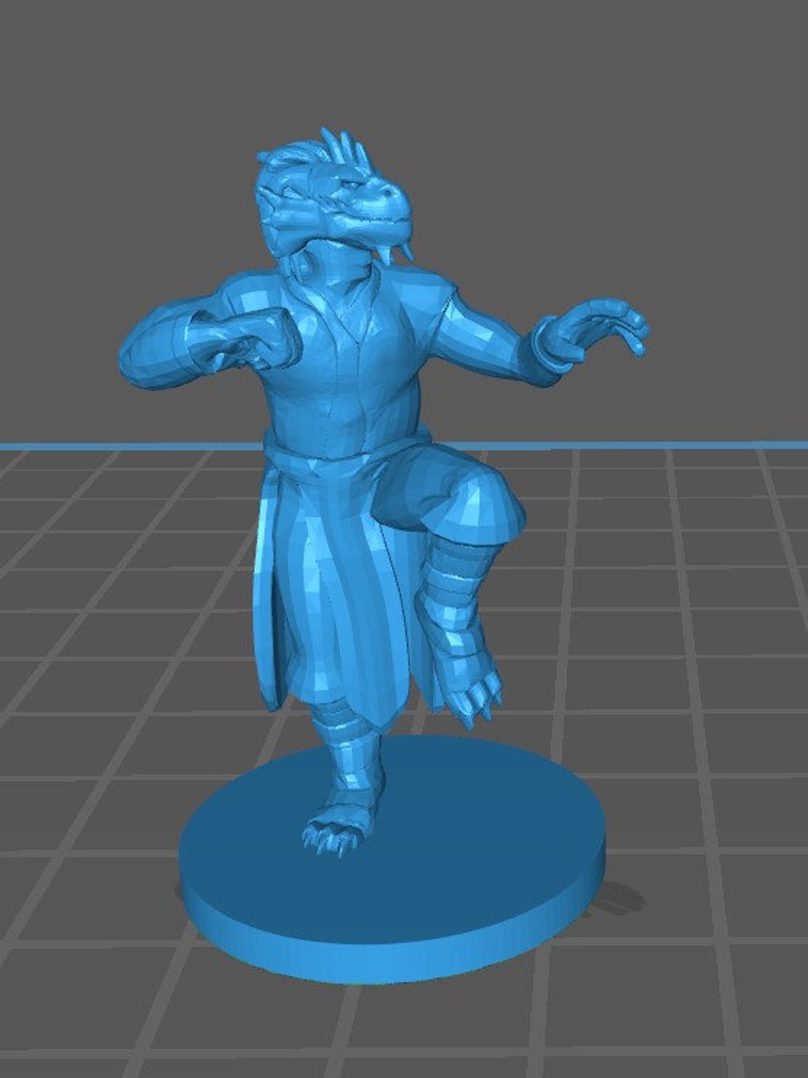 Dragonborn Monk Mini DND Pathfinder Dungeons & Dragons | Etsy