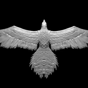 Roc Mini - DND - Pathfinder - Dungeons & Dragons - RPG - Tabletop ...