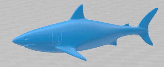 Reef Shark Mini in 3 Pieces DND Pathfinder Dungeons & | Etsy