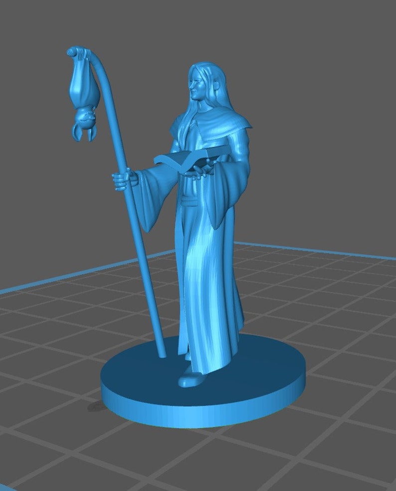 Human Wizard Mini DND Pathfinder Dungeons & Dragons - Etsy