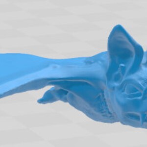 Giant Bat Mini - DND - Pathfinder - Dungeons & Dragons - RPG - Tabletop ...